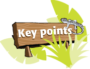 Important points about C Language Function | blogger tips and trick 24